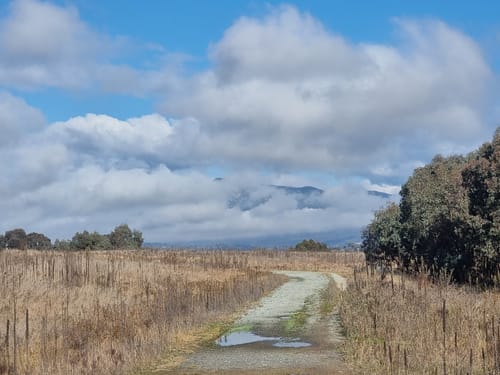Best Hikes and Trails in Pine Island - Point Hut | AllTrails