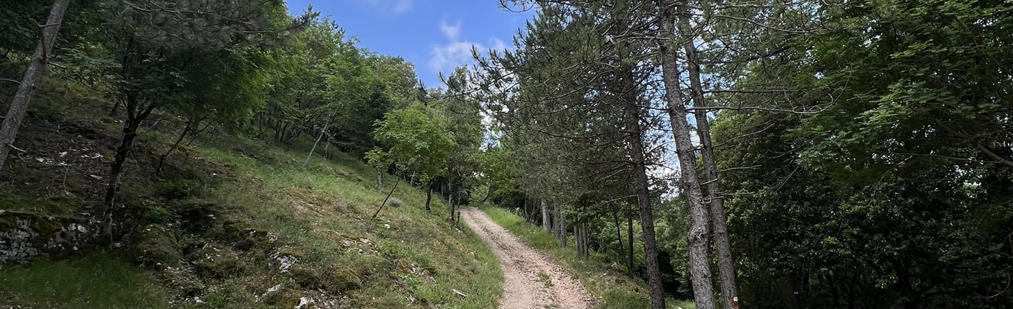 Mount Subasio via Assisi, Umbria, Italy - 9 Reviews, Map | AllTrails