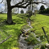 Grinton, Reeth Swing Bridge and Reeth Circular, North Yorkshire ...