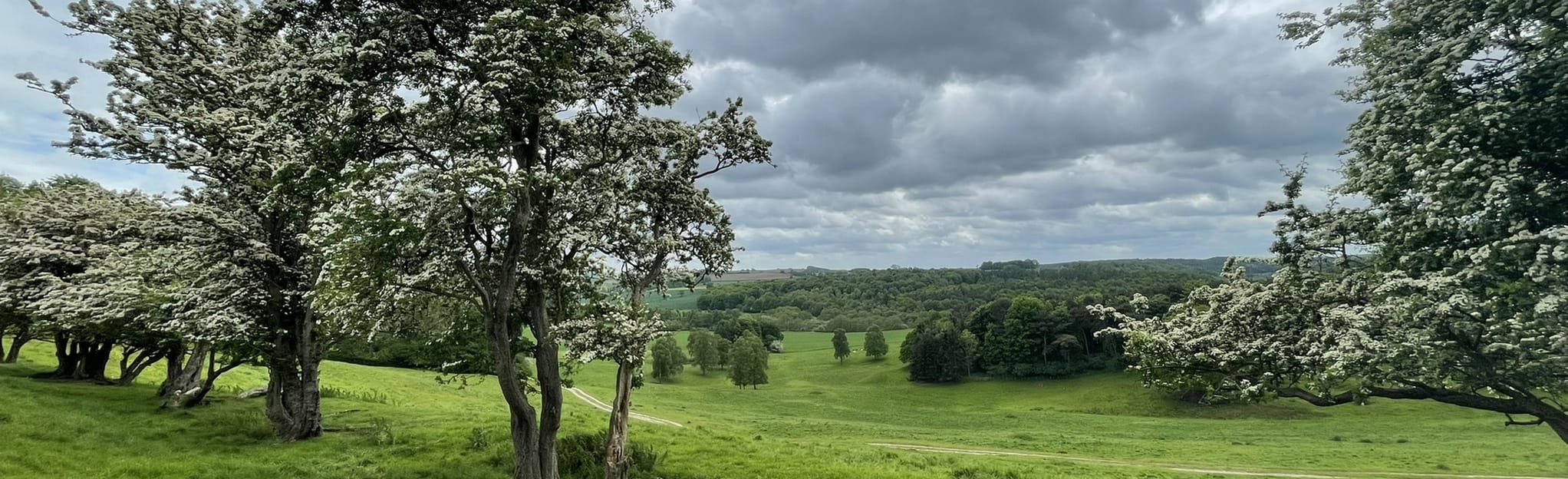 Hutton Bank Wood Circular, North Yorkshire, England - 46 Reviews, Map ...