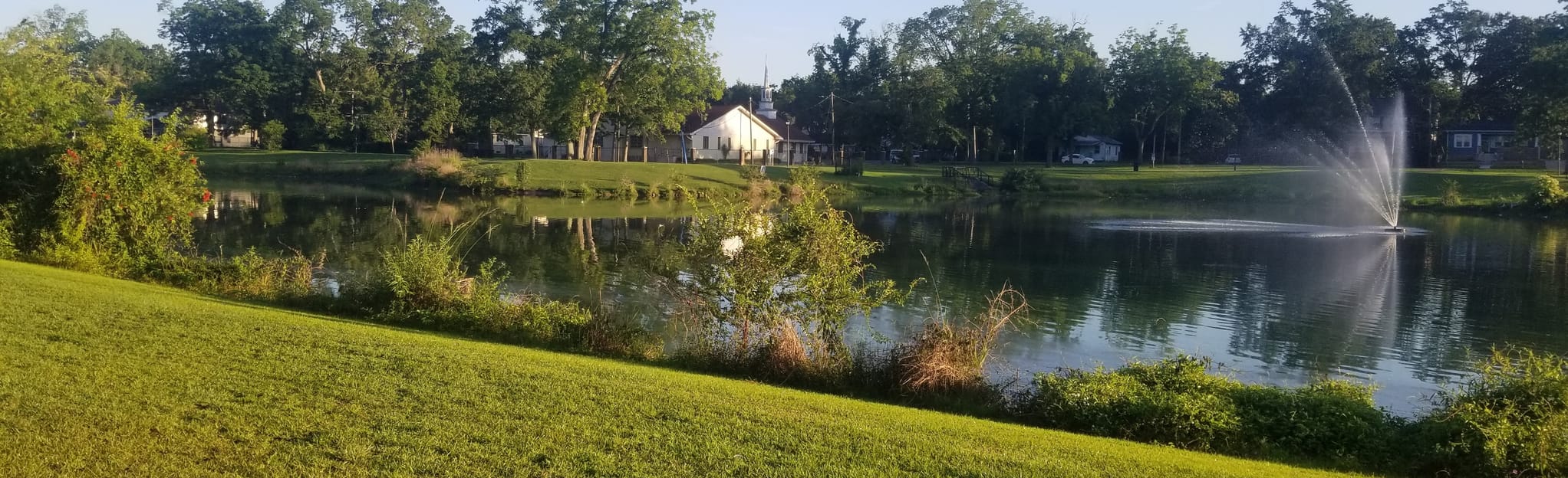 Carter Howell Strong Park Path, Florida - 3 Reviews, Map | AllTrails