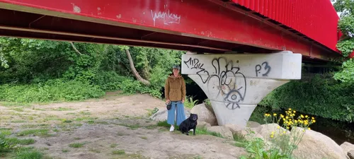 Best Hikes and Trails in Dodder Valley Park | AllTrails