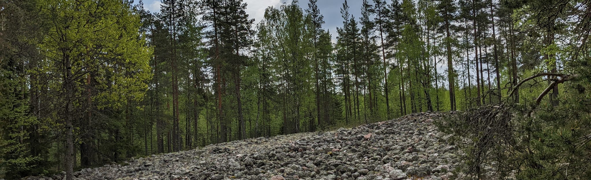 Pilpasuo Nature Trail: 1 Reviews, Map - Northern Ostrobothnia, Finland | AllTrails