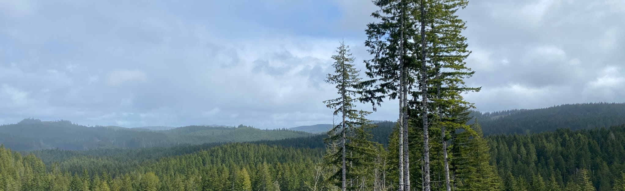 University Falls via Nels Rogers and Wilson River Wagon Road Loop: 538 ...