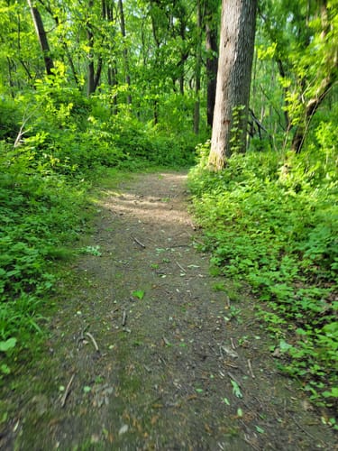 Best Hikes and Trails in Oakdale Nature Preserve | AllTrails