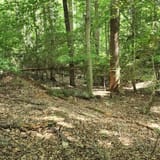 Marl Ravine Trail, Virginia - 52 Reviews, Map | AllTrails