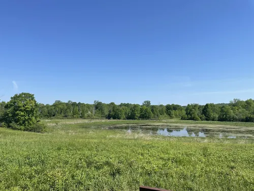 Best Hikes and Trails in Bath Nature Preserve | AllTrails