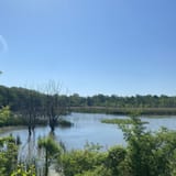 Huron River Path MetroPark, Ohio - 81 Reviews, Map | AllTrails