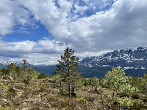 2023 Best Lake Trails in Naustdal | AllTrails