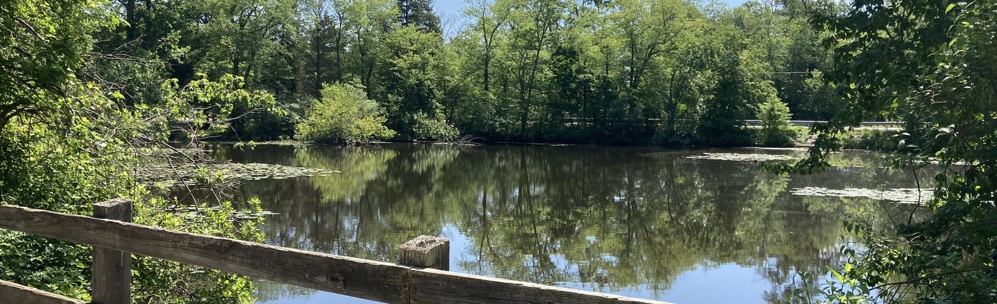 Parvin Lake and Long Loop: 201 Reviews, Map - New Jersey | AllTrails