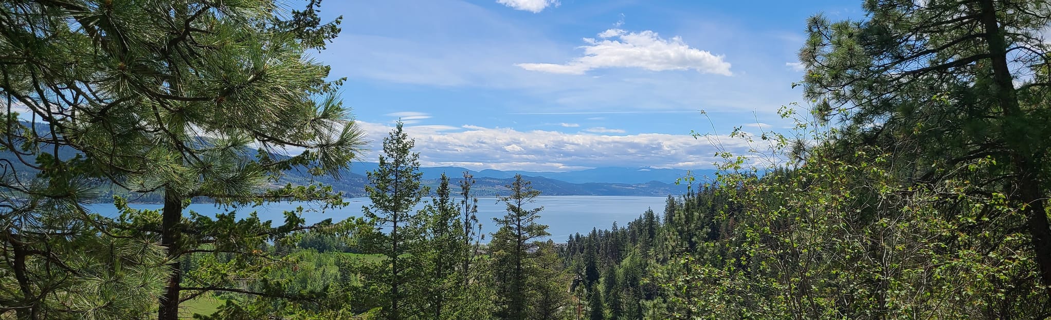 Fintry Provincial Park Loop, British Columbia, Canada - 115 Reviews ...