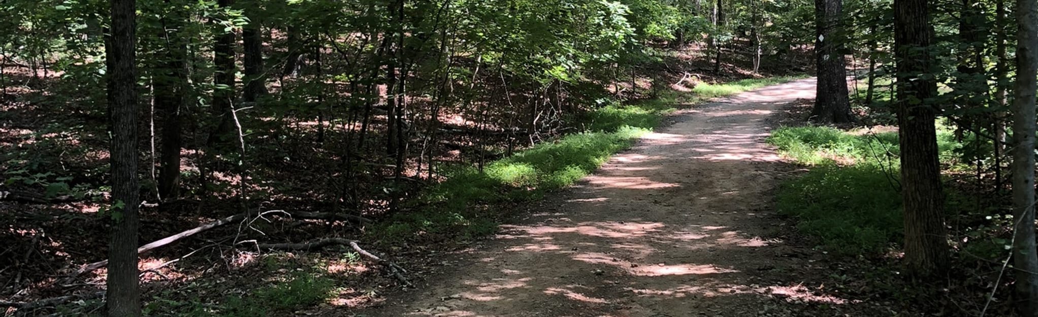 Sweetwater Creek White and Green Loop | Map, Guide - Georgia | AllTrails