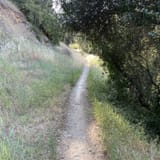 Confluence Trail, California - 626 Reviews, Map | AllTrails