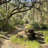 Confluence Trail, California - 626 Reviews, Map | AllTrails