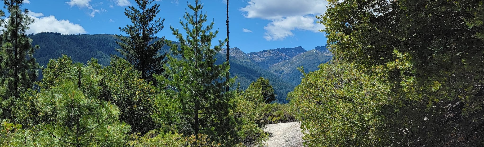 Flume Trail and PCT Loop, California - 74 Reviews, Map | AllTrails