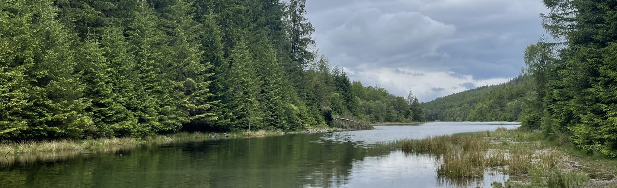 Betws-y-Coed to Llyn y Parc: 88 Reviews, Map - Conwy, Wales | AllTrails