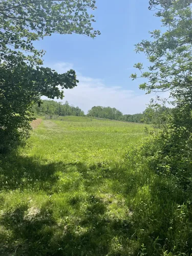 Best Hikes and Trails in Wickiup Hill County Park | AllTrails