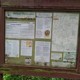 Perry Valley Loop Trail, West Virginia - 128 Reviews, Map | AllTrails