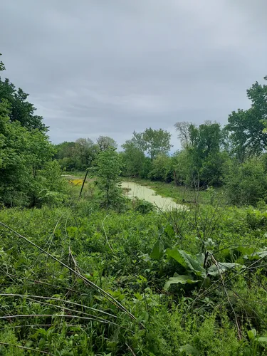 Best Hikes and Trails in Chicago Portage National Historic Site | AllTrails