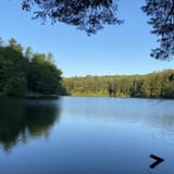 Lake Conasauga , Georgia - 50 Reviews, Map | AllTrails