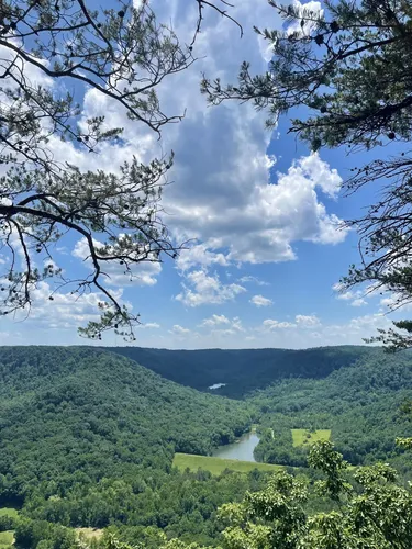 10 Best Hikes and Trails in Berea College Forest | AllTrails