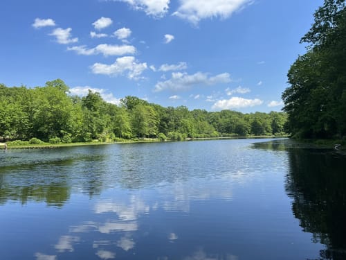 Best Hikes and Trails in Day Pond State Park | AllTrails