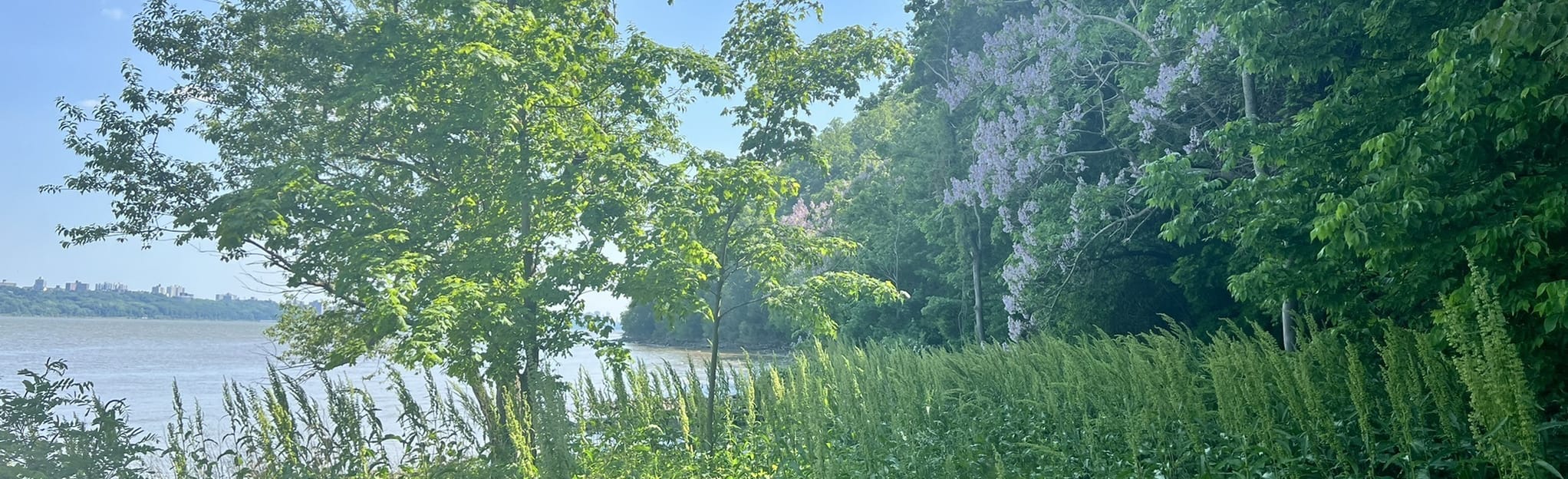 Huyler's Landing and Closter Dock Trail Loop from Alpine Headquarters ...
