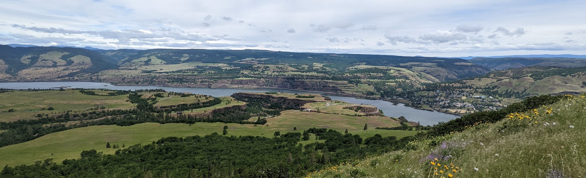 Tom McCall Point Trail [CLOSED], Oregon - 1,474 Reviews, Map | AllTrails
