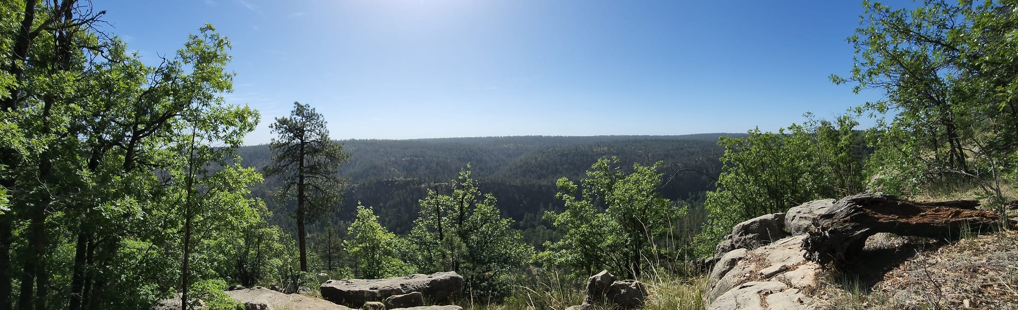 Telephone Ridge to Chevelon Canyon South, Arizona - 6 Reviews, Map ...