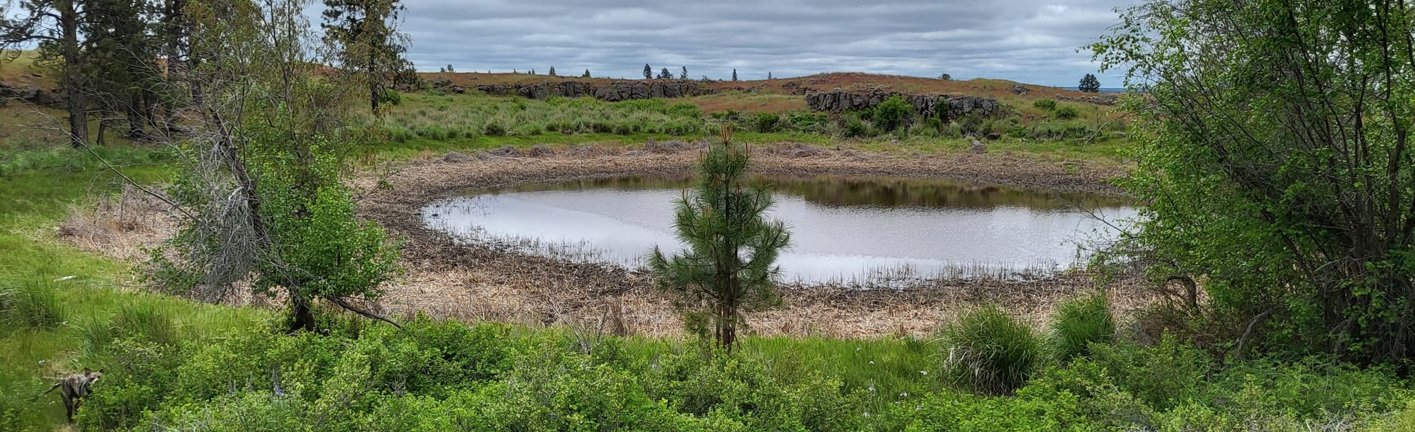 Fishtrap Lake, Washington - 26 Reviews, Map | AllTrails