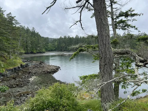 10 Best Trails and Hikes in Saltspring Island Trust Area | AllTrails