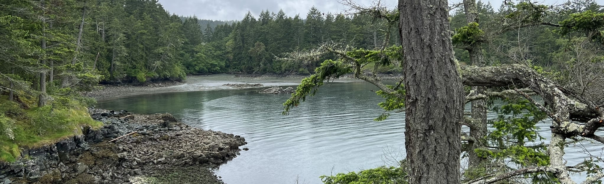 Bear Point, British Columbia, Canada - 76 Reviews, Map | AllTrails