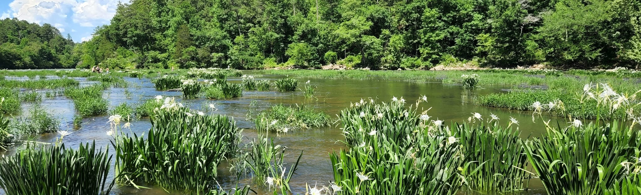 Cahaba River Loop: 23 Reviews, Map - Alabama | AllTrails