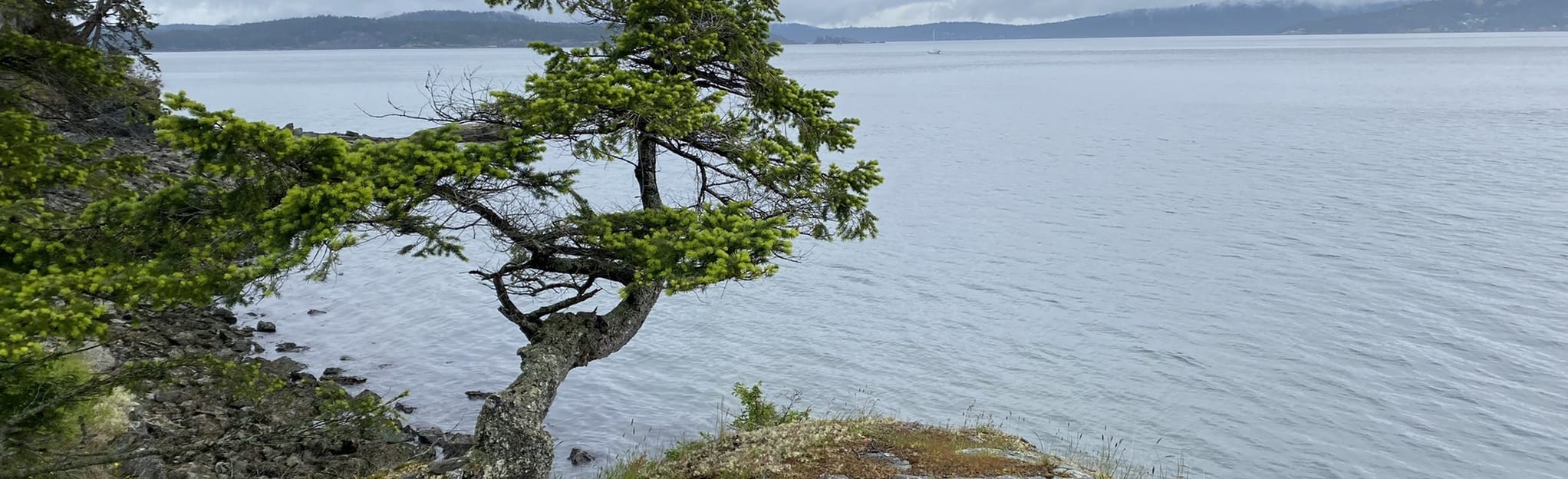 Gulf Islands Paddle: Prevost Island to Portland Island: 2 Reviews, Map ...