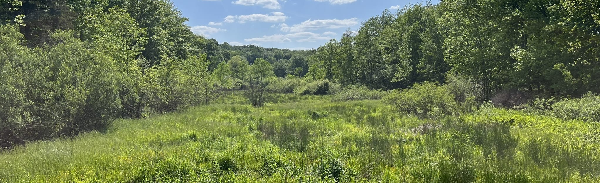 The West Woods: 728 Reviews, Map - Ohio | AllTrails