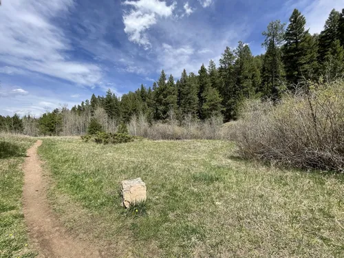 10 Best Trails and Hikes in Castle Rock | AllTrails