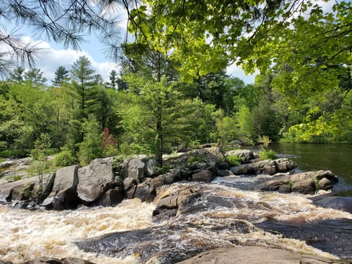 Best Hikes and Trails in Flambeau River State Forest | AllTrails