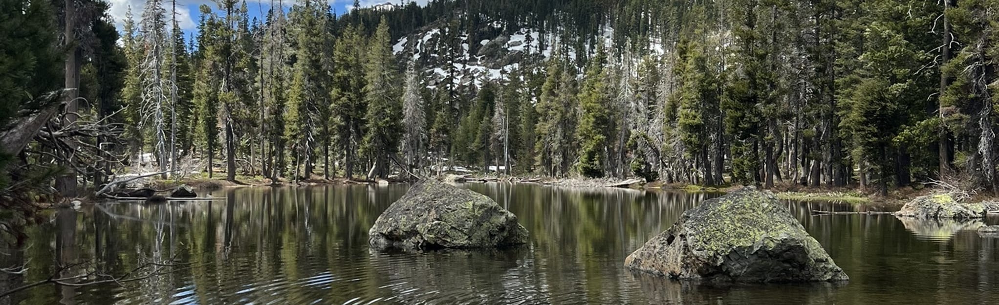 Jamison-Long Lake Loop: 32 Reviews, Map - California | AllTrails