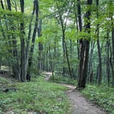 Tarrywile Park Trail, Connecticut - 619 Reviews, Map | AllTrails