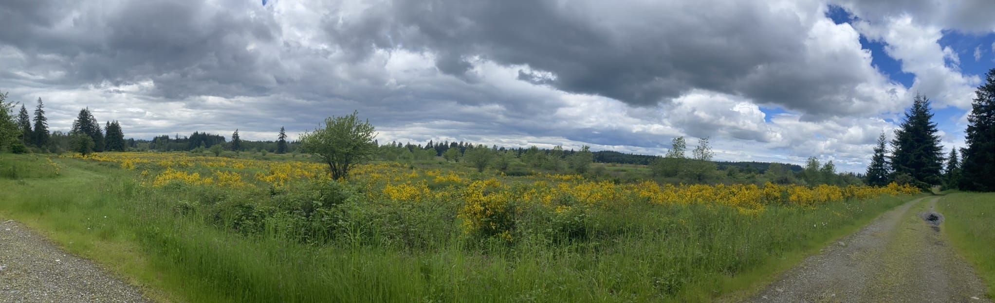 West Rocky Prairie Loop, Washington - 172 Reviews, Map | AllTrails