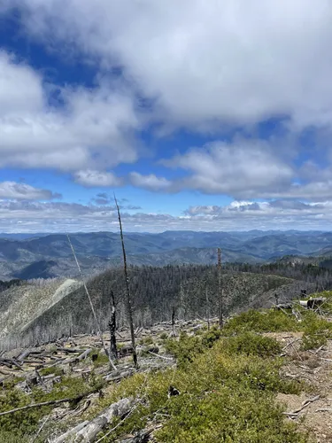 Best Hikes and Trails in Matson County Park | AllTrails