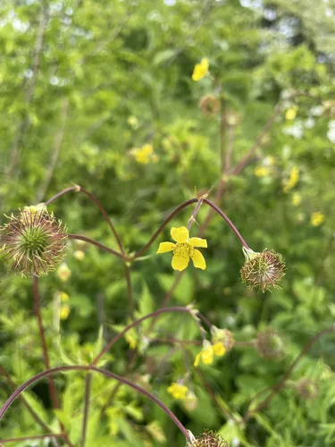 Best Hikes and Trails in Cuthbert Holmes Park | AllTrails