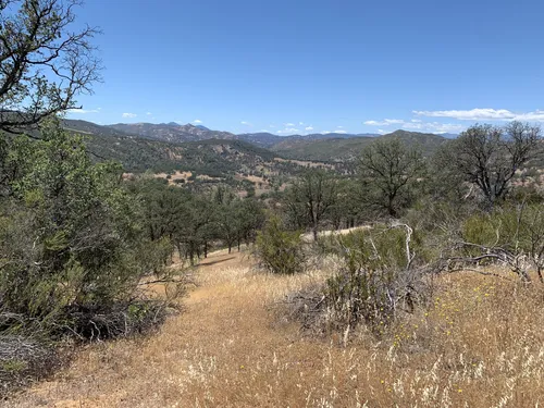 10 Best Hikes and Trails in Cache Creek Wilderness | AllTrails