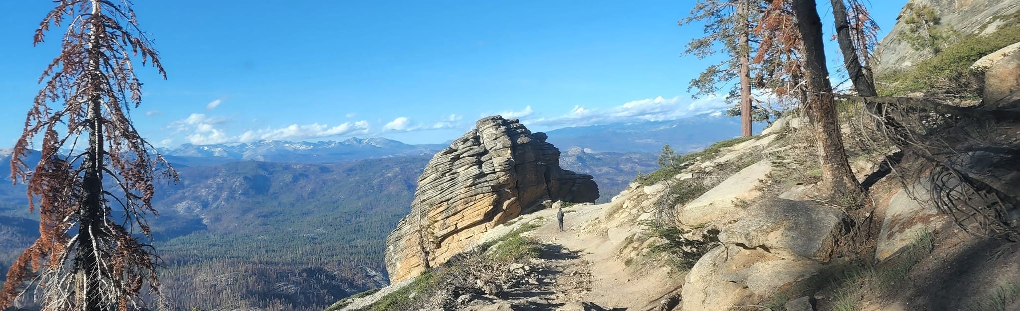 Shuteye Peak Trail, California - 72 Reviews, Map | AllTrails
