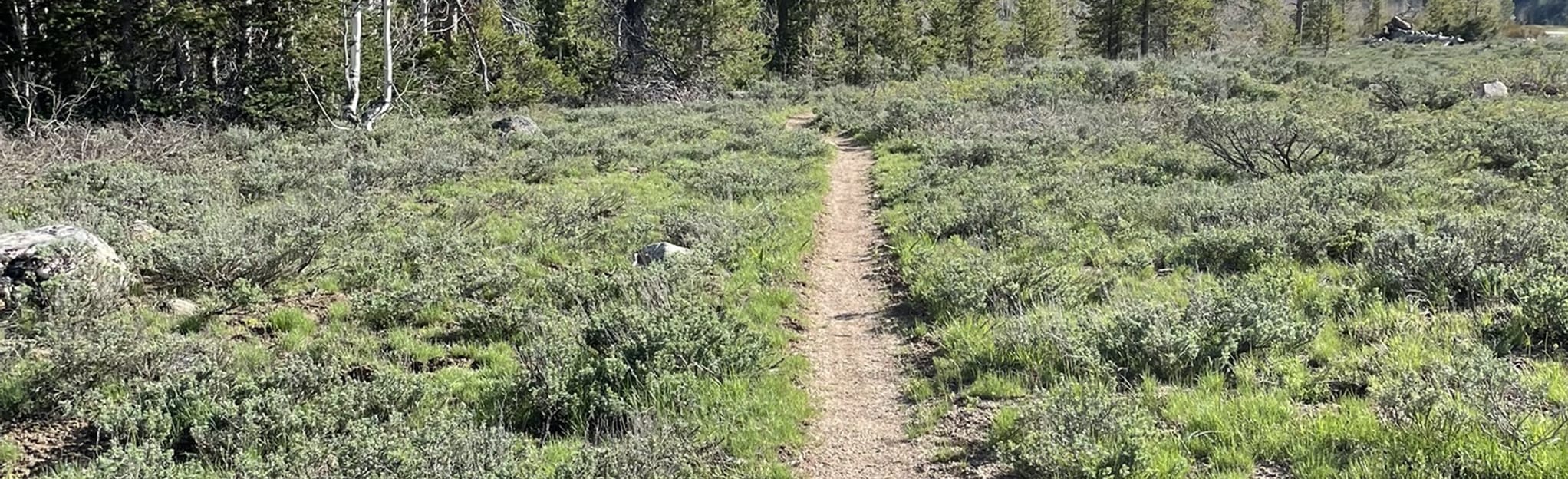 Stump Hollow, Utah - 141 Reviews, Map | AllTrails