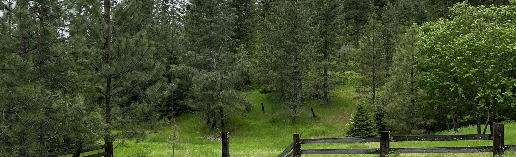 Doghair Alley, Hauser Loop Trails | Map, Guide - Washington | AllTrails