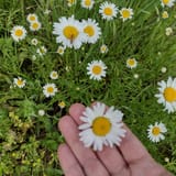 Lawrence Loop Trail, Kansas - 137 Reviews, Map | AllTrails