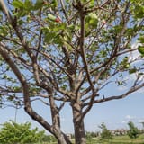 Lawrence Loop Trail, Kansas - 105 Reviews, Map | AllTrails