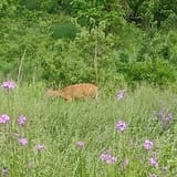 Lawrence Loop Trail, Kansas - 137 Reviews, Map | AllTrails