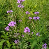 Lawrence Loop Trail, Kansas - 137 Reviews, Map | AllTrails